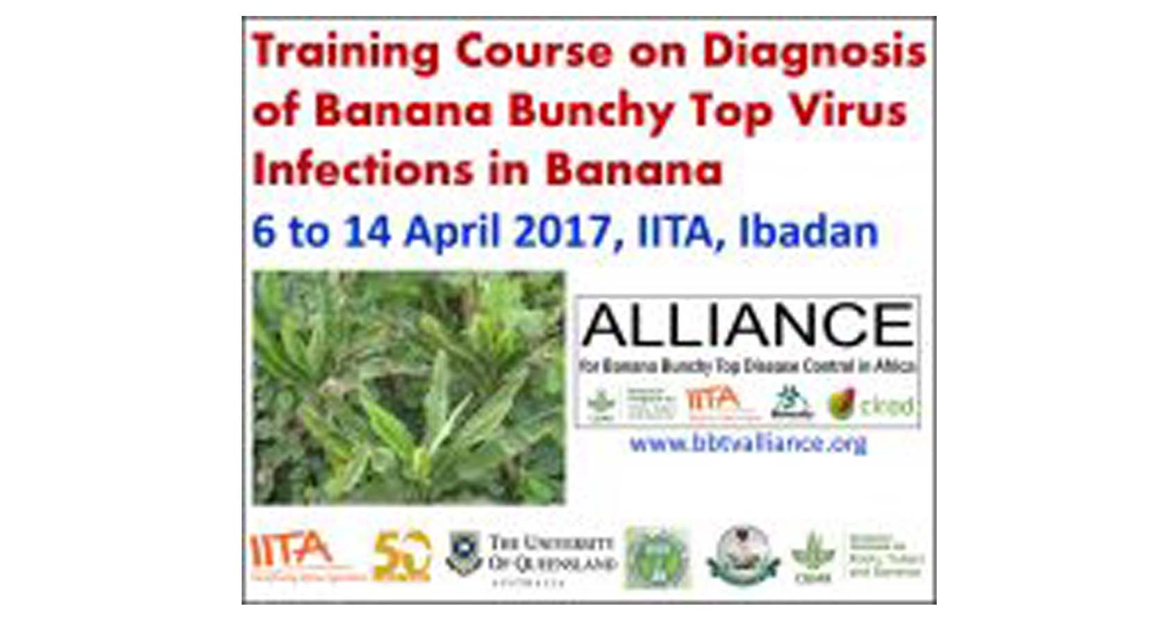 Event: Training course on Diagnosis of Banana Bunchy Top Virus ...